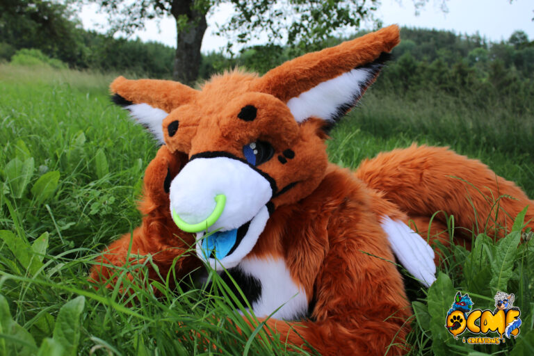 Gallery – OcMeCreations – Fursuit made in Germany
