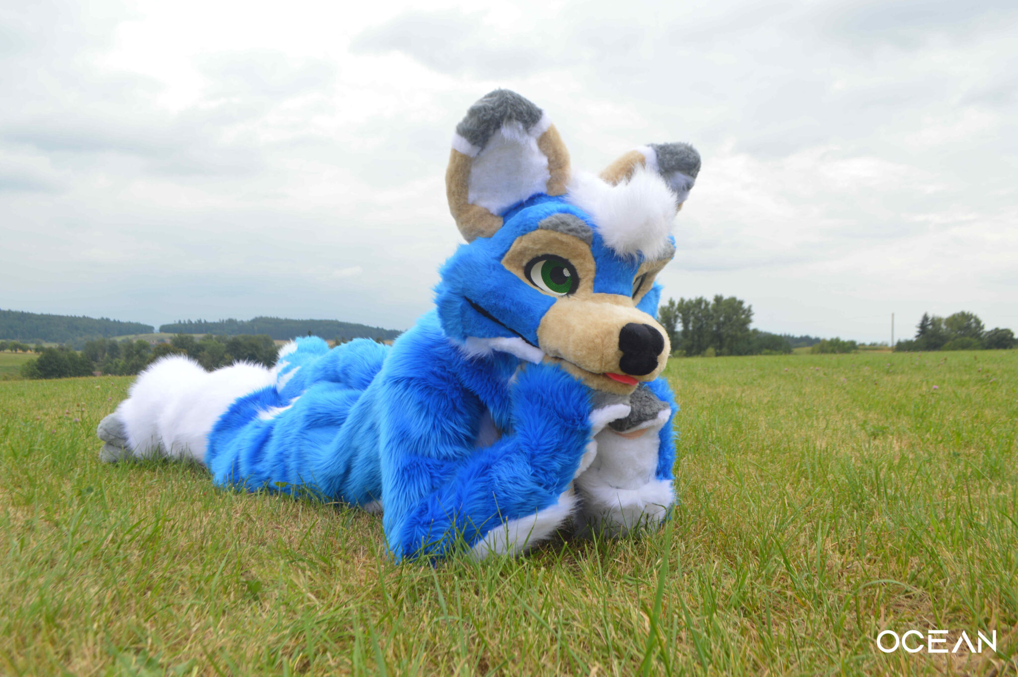 OcMeCreations – Fursuit made in Germany