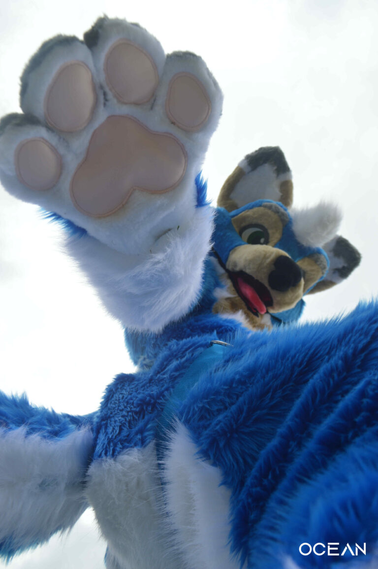 Gallery – OcMeCreations – Fursuit made in Germany